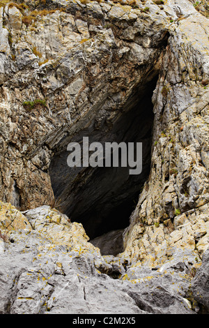 The entrance to Paviland cave (Goat’s hole cave), South Gower, Swansea ...