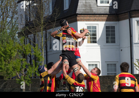 Richmond Rugby Football Club in action Stock Photo - Alamy