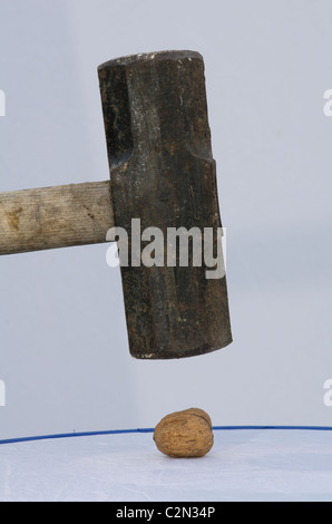 A sledgehammer to crack a nut Stock Photo - Alamy