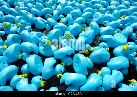 The Guinness World Record for the “Largest Plastic Duck Race” was set ...