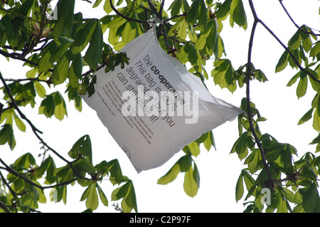 Plastic bag trapped in tree branches, environmental pollution and ...
