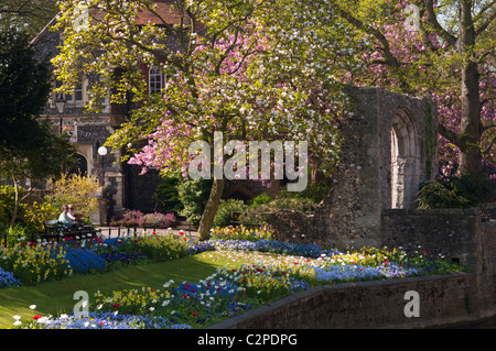 Westgate Gardens Canterbury in Spring River Stour Blossom Tulips Stock ...