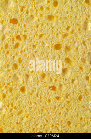 Yellow Sponge Foam Texture Macro Background. Abstract background of a ...