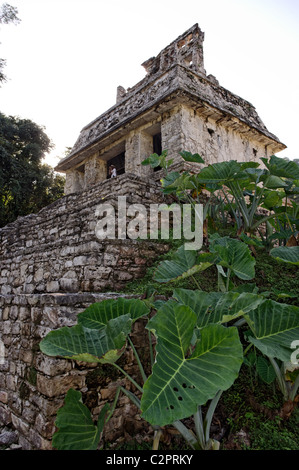 Palenque Mexico - Temple of the Sun, part of the Temple of the Cross ...