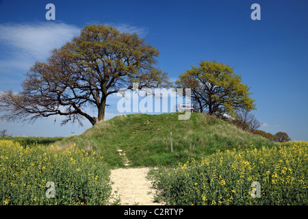 The Appledore Round Barrow, burial mound Stock Photo: 36174688 - Alamy