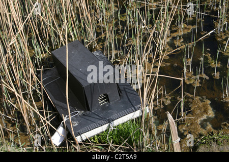 Mink Monitoring Raft In A Reedbed At Malltraeth Marshes RSPB Reserve ...