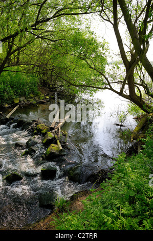 nature reserve attenborough nottingham england uk Stock Photo - Alamy