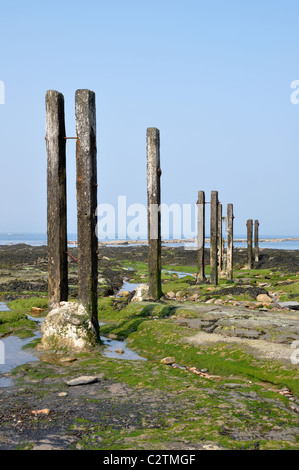 St Mary's island jetty posts Stock Photo - Alamy