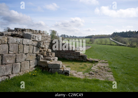Black Carts Turret, Hadrian's Wall, Northumberland Stock Photo - Alamy