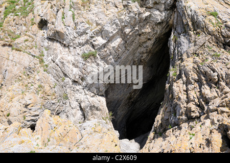 Paviland Cave / Goat's Hole Cave, Gower, Wales Stock Photo - Alamy