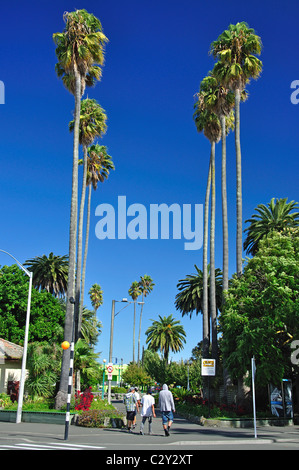 Clive Square Gardens, Napier, Hawke's Bay Region, North Island, New ...
