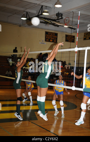 Girls high school volleyball game in a high school gym Stock Photo - Alamy