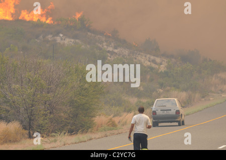 Heather and bush fire that crosses a road, flames, cars, people, smoke ...