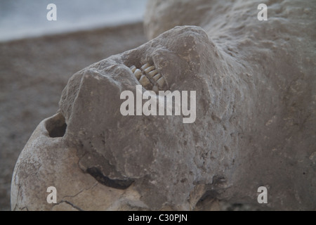 Corpse preserved remains of human ashes in pompeii Stock Photo - Alamy