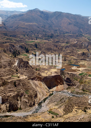 Terrace farming in the Colca Canyon, Canon del Colca, Andes Mountains ...