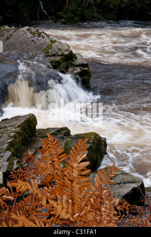 Vertical shot of a river flowing over rock formations Stock Photo - Alamy