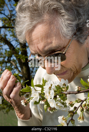 portrait of grandmother and cherry tree flowers - spring Stock Photo ...