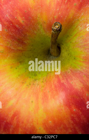 Macro photo of a Red Delicious apple. Beautiful closeup shows the ...
