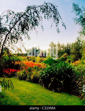 Gash Gardens, Co Laois, Ireland, Hidden Stream Walkway Stock Photo - Alamy