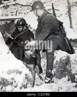 A messenger dog and its handler in France during World War I ...