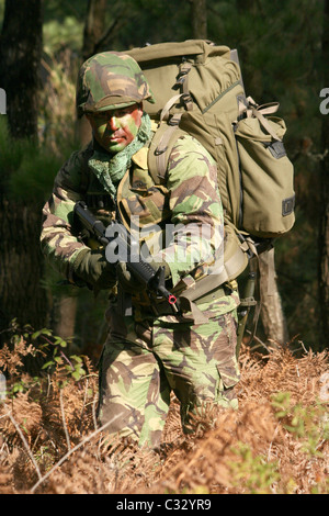 Military training combat, forest/jungle environment Stock Photo - Alamy