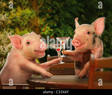 * Greedy Pigs Cheeky pigs live up to their greedy reputation in this ...