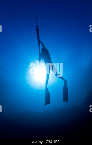 A young woman spearfishing on The Great Barrier Reef Stock Photo - Alamy