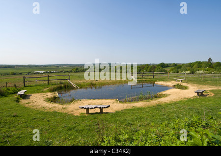 Pulborough Brooks Nature Reserve West Sussex UK Stock Photo - Alamy