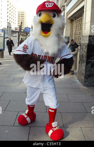 Washington Nationals unveil a new look for mascot 'Screech' Washington ...