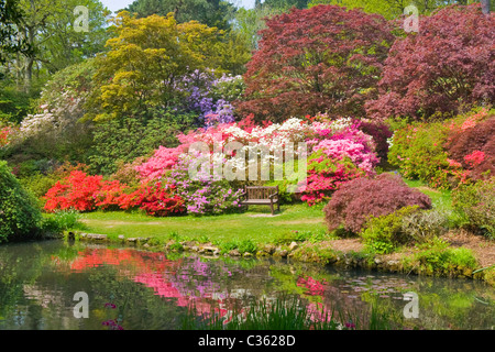 Exbury Gardens , Lionel de Rothschild rhododendrons & azaleas reserve ...