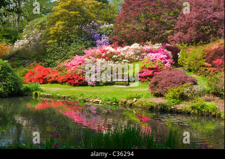 200 acres Exbury Gardens , Lionel de Rothschild rhododendrons & azaleas ...