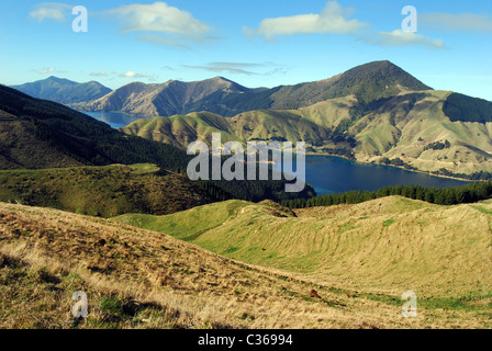 The Marlborough Sounds - near Tennyson Inlet, South Island New Zealand ...