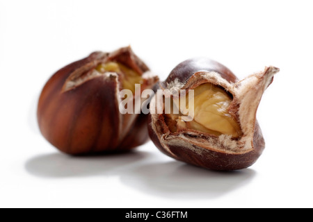 single chestnut seed close-up isolated on white background Stock Photo ...