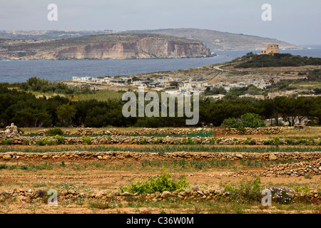 marfa ridge walk isle of malta Stock Photo - Alamy