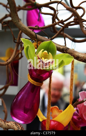 green orchid flower tree Stock Photo - Alamy