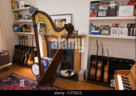 Music room with concert triple harp vintage guitars and piano in ...