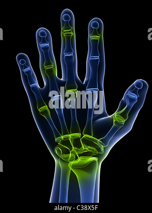 highlighted hand and finger joints Stock Photo - Alamy