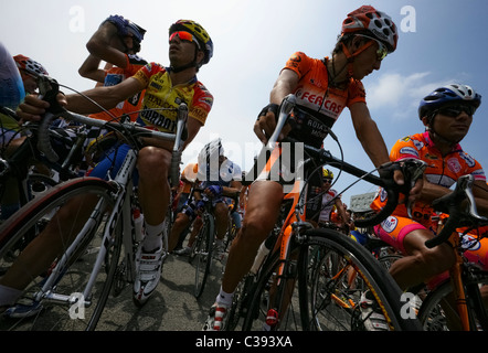 Professional cyclists on their bicycles Stock Photo - Alamy