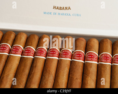 Cigars: Cuban Cigars - Close up of luxury hand rolled imported cigars ...