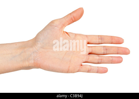woman's hand, palm outstretched on a white background Stock Photo - Alamy