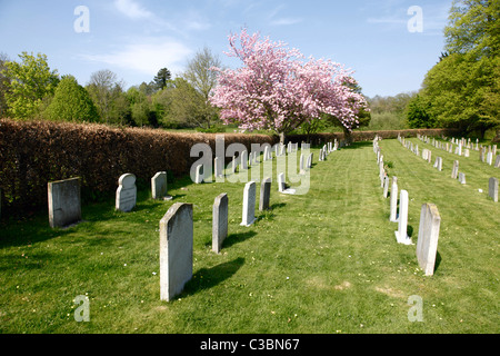 Gravestones and flowering cherry tree Saltwood Hythe Kent Stock Photo ...
