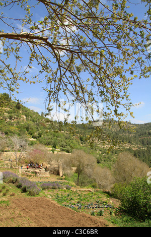 Israel, Jerusalem mountains, a view of Sataf Stock Photo - Alamy