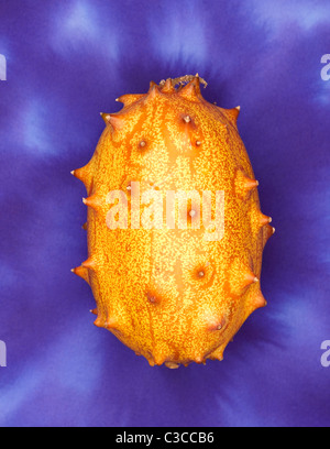 Organic Orange Kiwano Melon with Prickly Spikes Stock Photo - Alamy