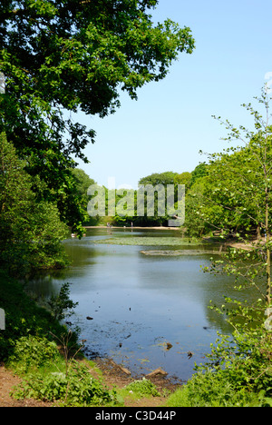 Queensmere Pond on Wimbledon Common, Wimbledon, London, UK Stock Photo ...