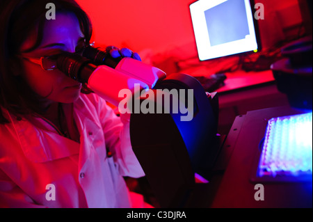 Female scientist in science darkroom with red lighting looking down ...