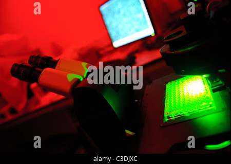 microscope in darkroom lit bright red with computer screen in ...