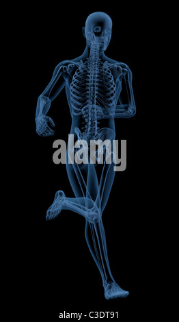 running man - anatomy Stock Photo - Alamy