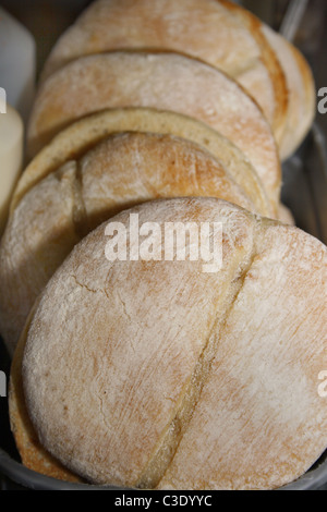 Burger served in bun in nutrition fast food concept Stock Photo - Alamy