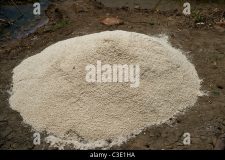 Salt pans at Arpora, Goa, India Stock Photo - Alamy