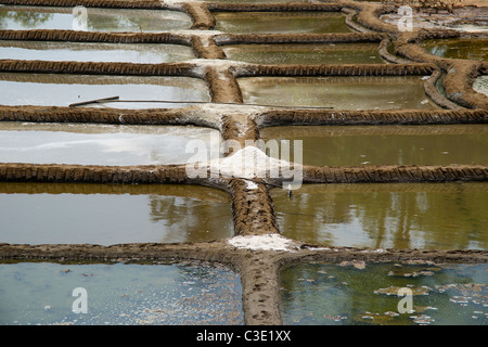 Salt pans at Arpora, Goa, India Stock Photo - Alamy